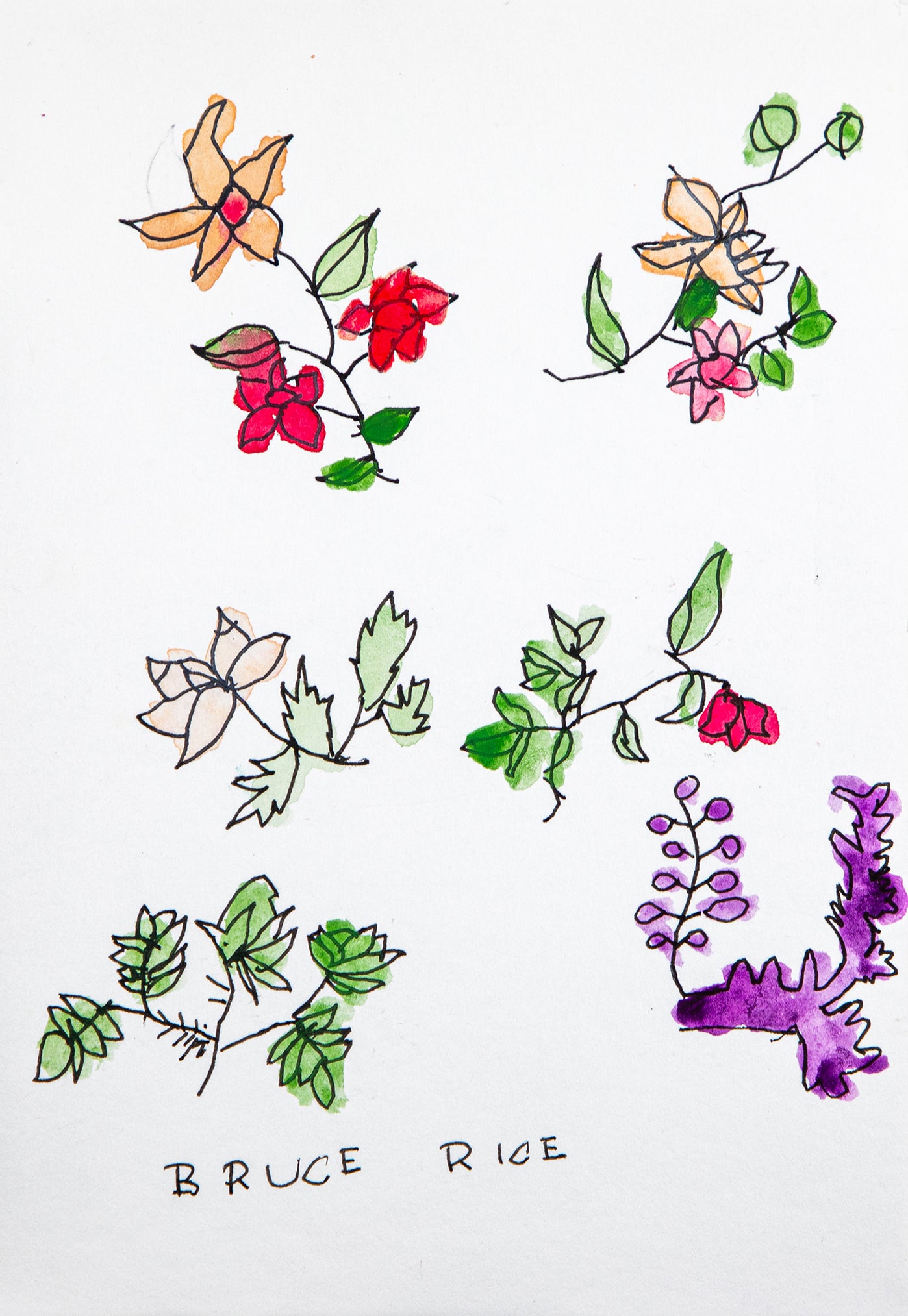 Bruce Rice – pasc-gallery