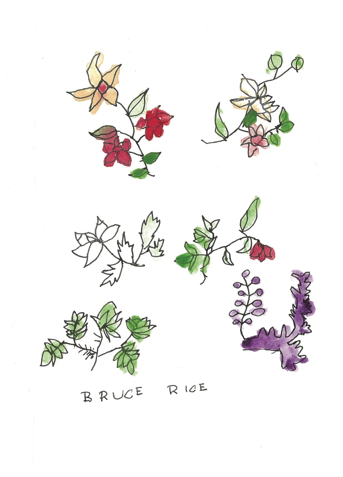 Flower Zine, by Bruce Rice – pasc-gallery