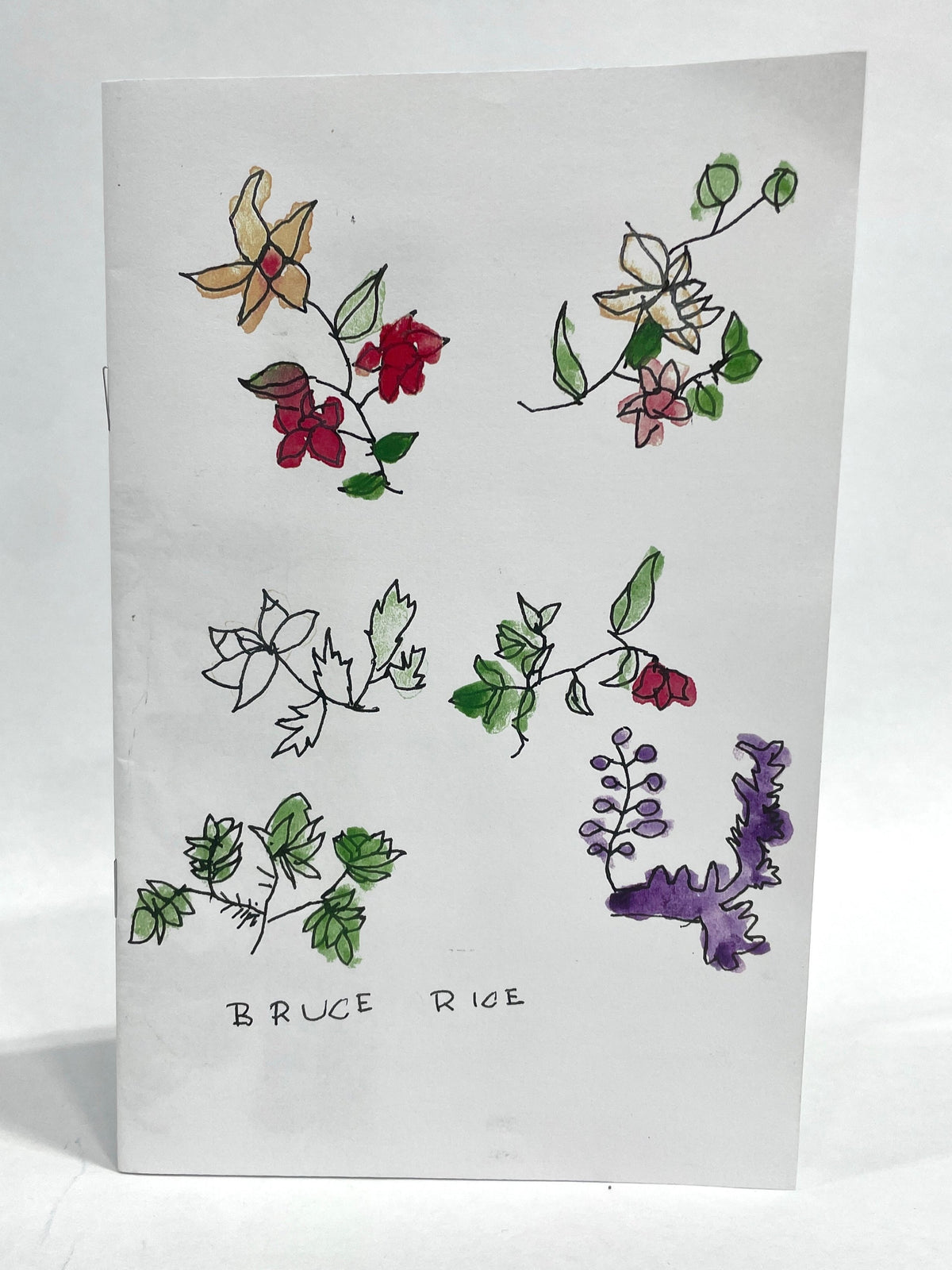 Flower Zine, by Bruce Rice – pasc-gallery
